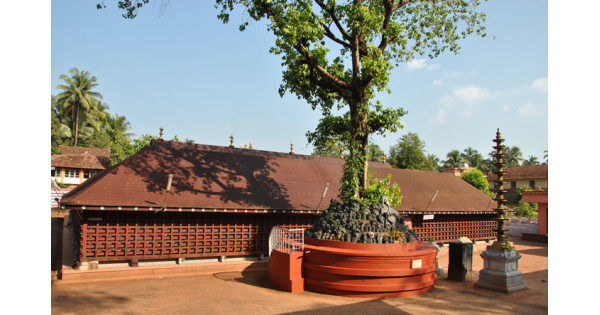 Srimath Anantheswara Temple,Darshan Information