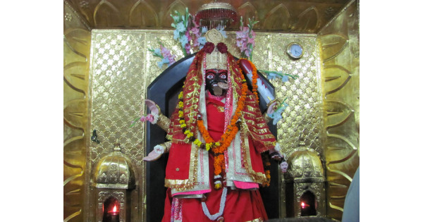 Kali Devi Temple,Darshan Information