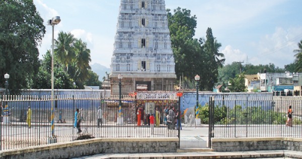 Kalyana Venkateswara Temple,Darshan Information